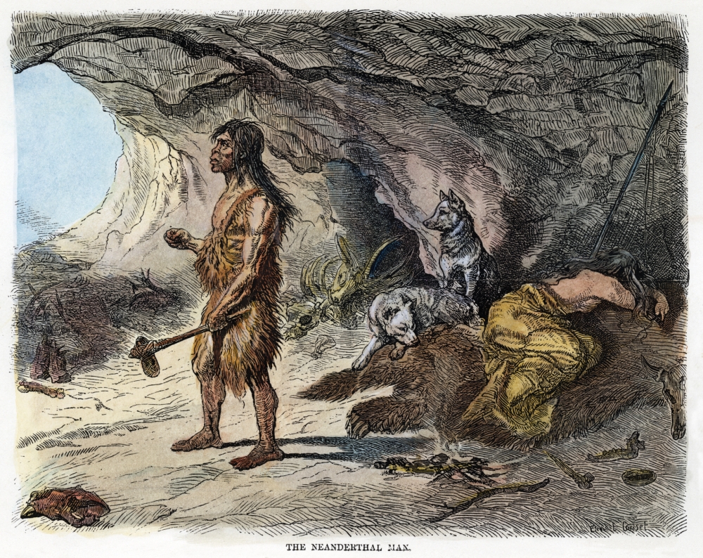 Neanderthal Man. /Na Late 19Th Century Depiction Of Neanderthal Man ...